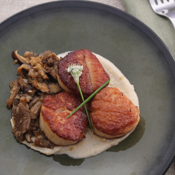 Seared Scallops On Truffle White Bean Puree With Wild Mushroom Sauce ...